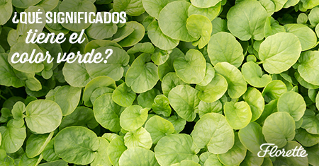 ¿Qué significados tiene el color verde? - Florette